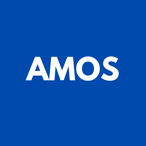 The Asset Management Operation System - AMOS